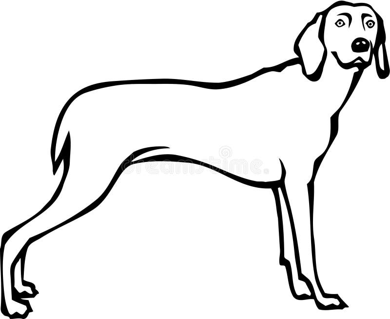 Weimaraner Dog Stock Illustrations – 262 Weimaraner Dog Stock ...