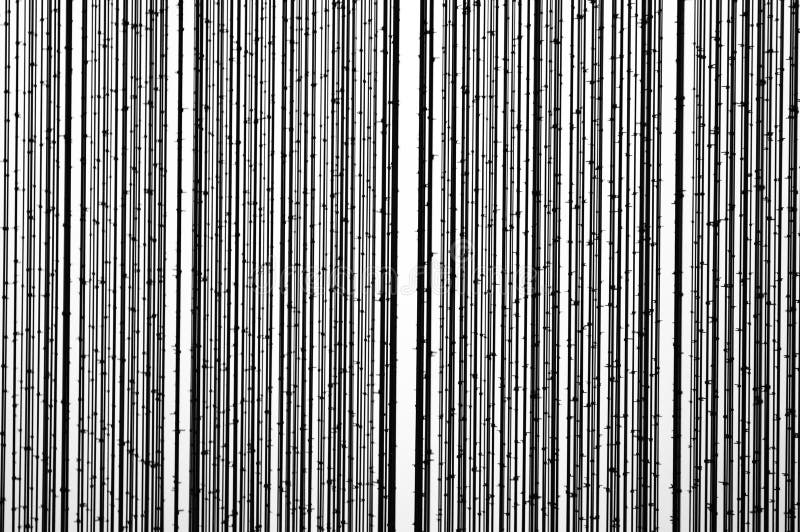 Black and White Yarn Vertical Stripe Pattern Stock Illustration ...