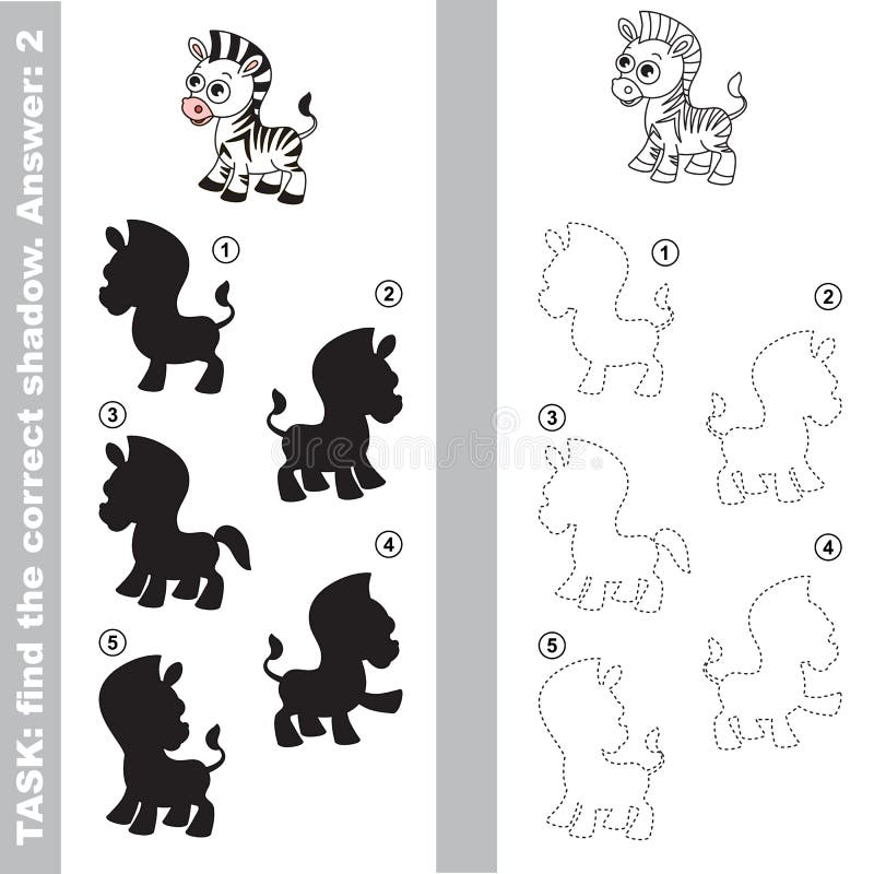 Black and White Zebra. Find True Correct Shadow. Stock Vector ...