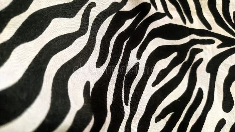 Black and White Zebra Print Stock Image - Image of white, drawing ...