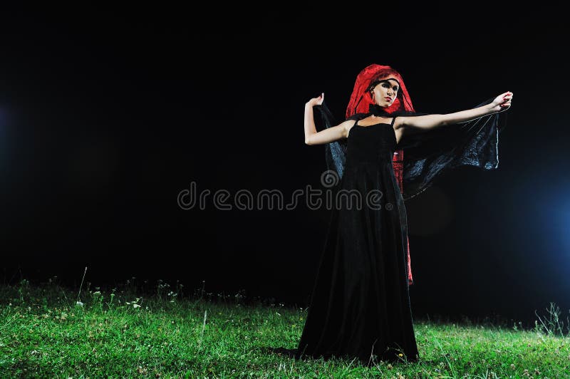 Black widow stock photo. Image of night, dark, adult - 10670042