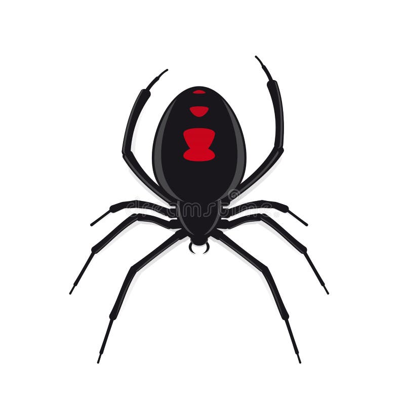 Vector Black Widow Spider Stock Illustrations – 2,884 Vector Black ...