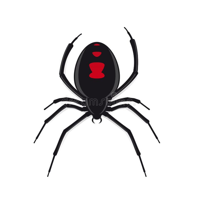 Black Widow Spider Stock Illustrations – 4,678 Black Widow Spider Stock ...