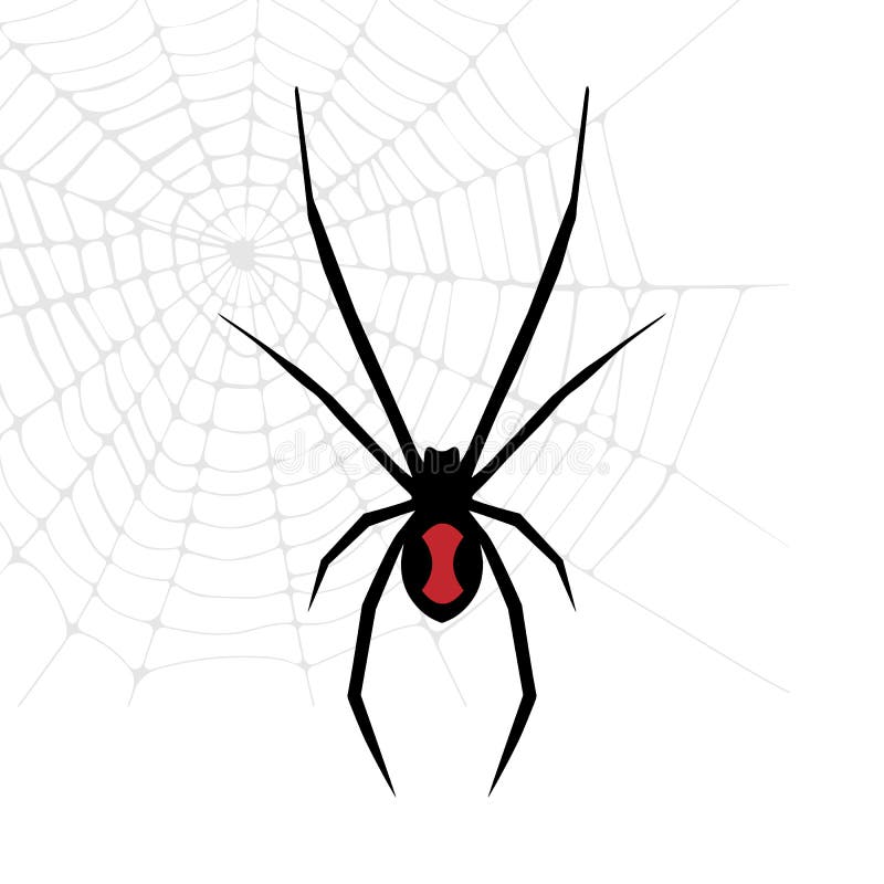 Black Widow spider stock vector. Illustration of arachnid - 202453875
