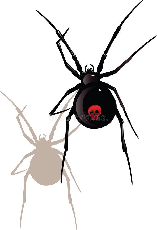 Black Widow Spider Stock Illustrations – 5,037 Black Widow Spider Stock ...