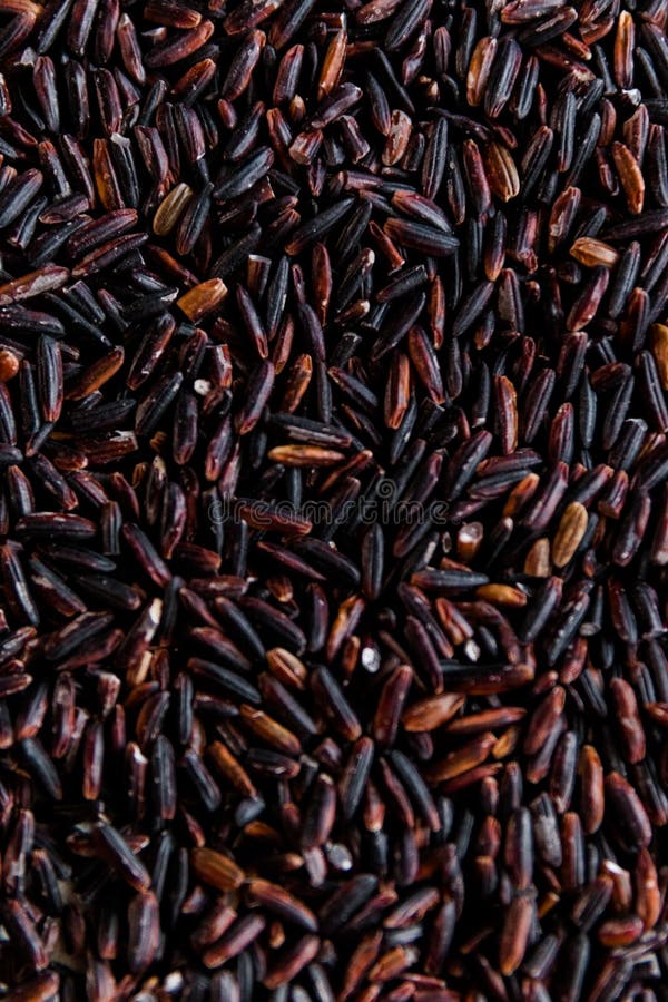 Black Wild Rice Close-up Background Texture Top View, Selective Focus ...