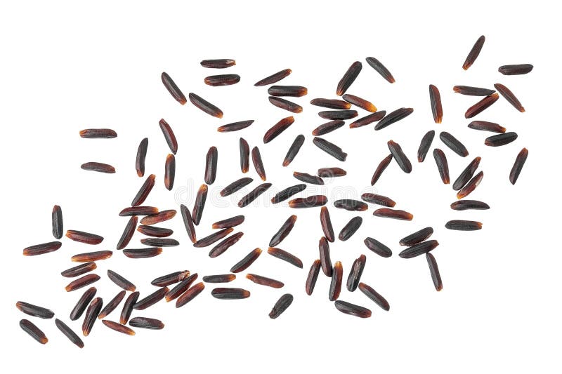 Black Wild Rice Isolated on White Background Close Up. Top View Stock ...