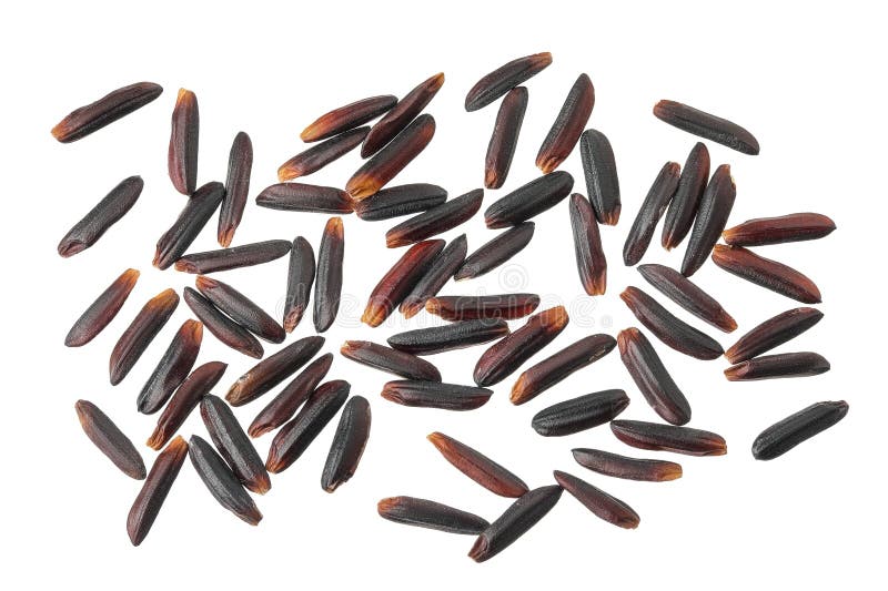 Black Wild Rice Isolated on White Background Close Up. Top View Stock ...