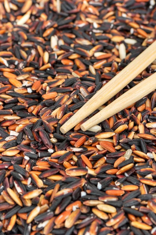 Black wild rice stock image. Image of black, oriental - 121958543