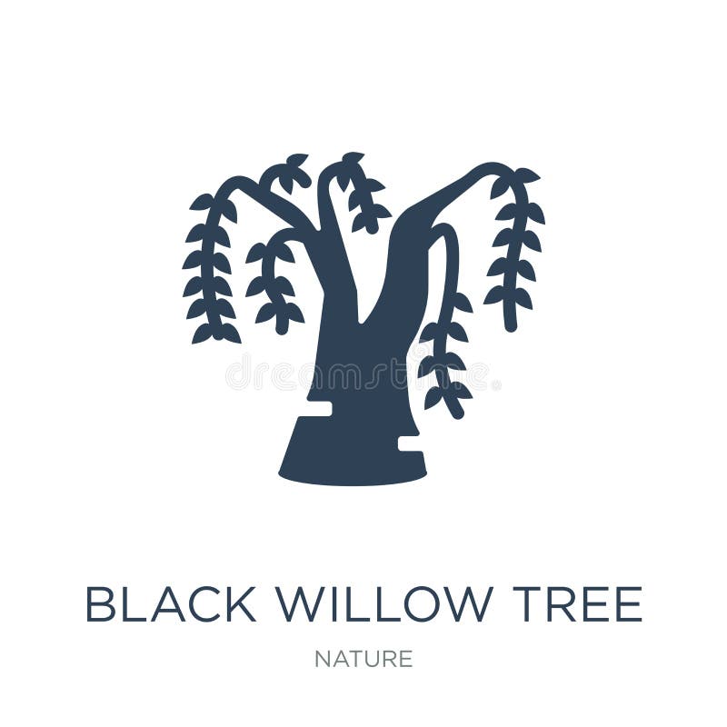 Willow Tree Logo Stock Illustrations – 726 Willow Tree Logo Stock ...