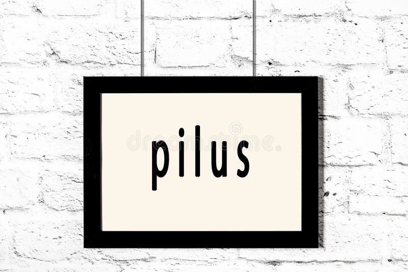 Inscription Pilus Stock Illustrations – 1 Inscription Pilus Stock ...