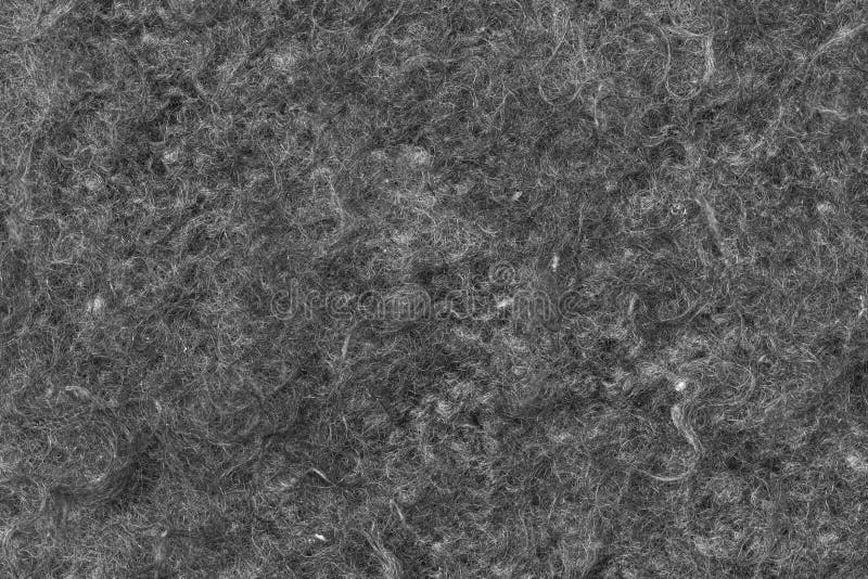 Black Wool Seamless Texture Background. Dark Texture with Short Factory ...