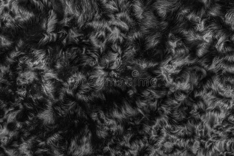 Black Wool Texture Fur Background Dark Soft Material Abstract Surface ...