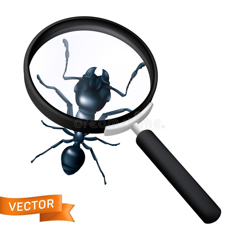 Magnifying Glass Ant Stock Illustrations 188 Magnifying Glass Ant Stock Illustrations Vectors