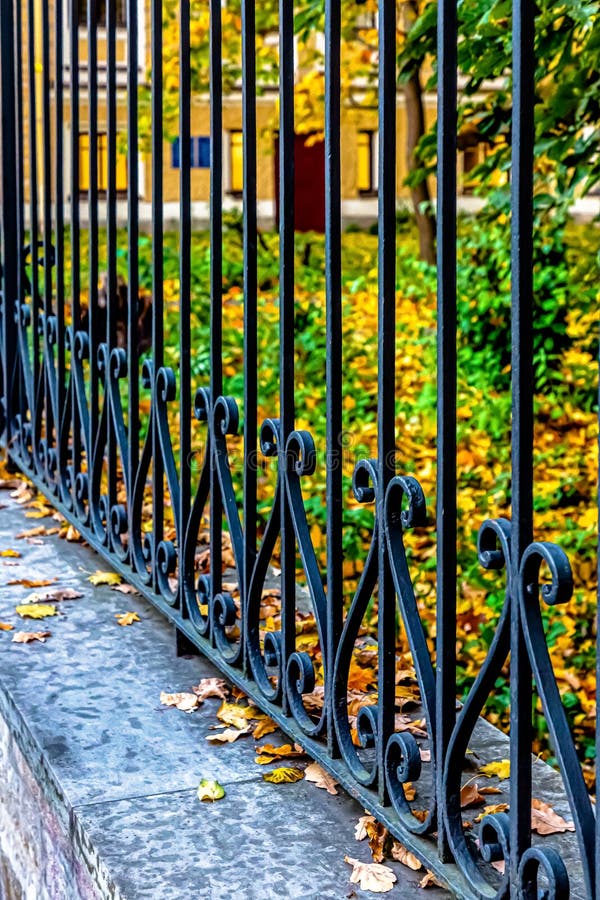 Black Wrought Iron Lattice on a Background of Yellow Leaves Stock Image ...