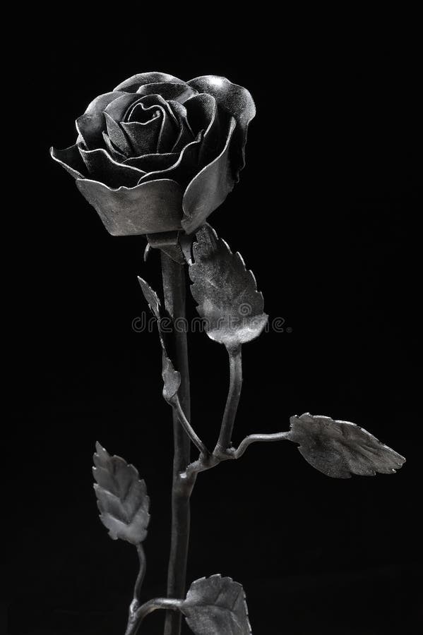 Black forged iron rose stock photo. Image of roses, black - 47221750