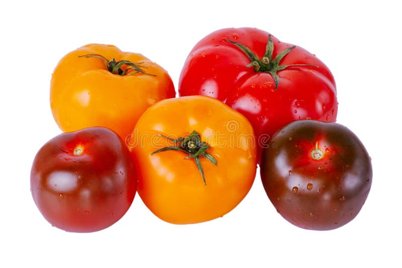 Black, Yellow and Red Tomatoes Isolate. Vegetables, Tomatoes with Drops ...