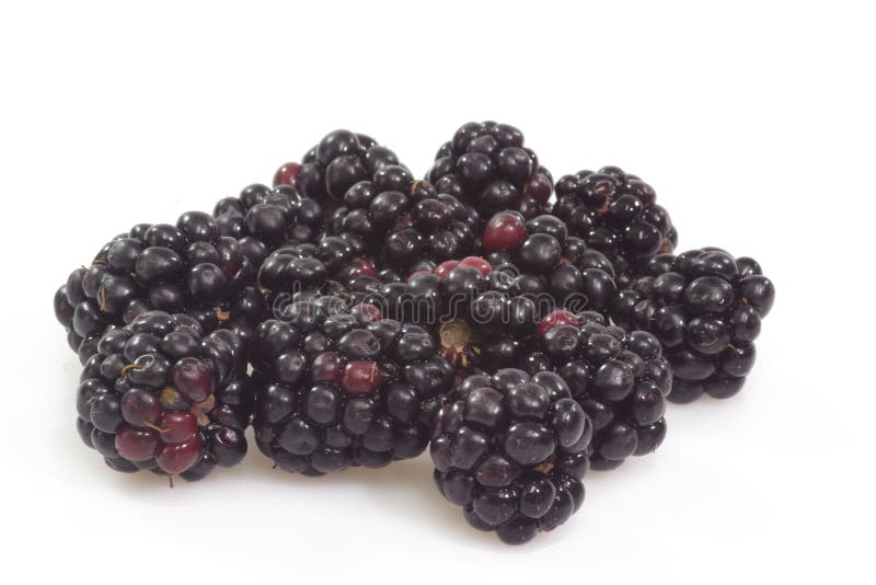 Blackberry stock image. Image of detail, delicious, season - 245943