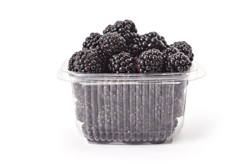 Punnet of Blackberries on White Stock Photo - Image of objects, garden ...