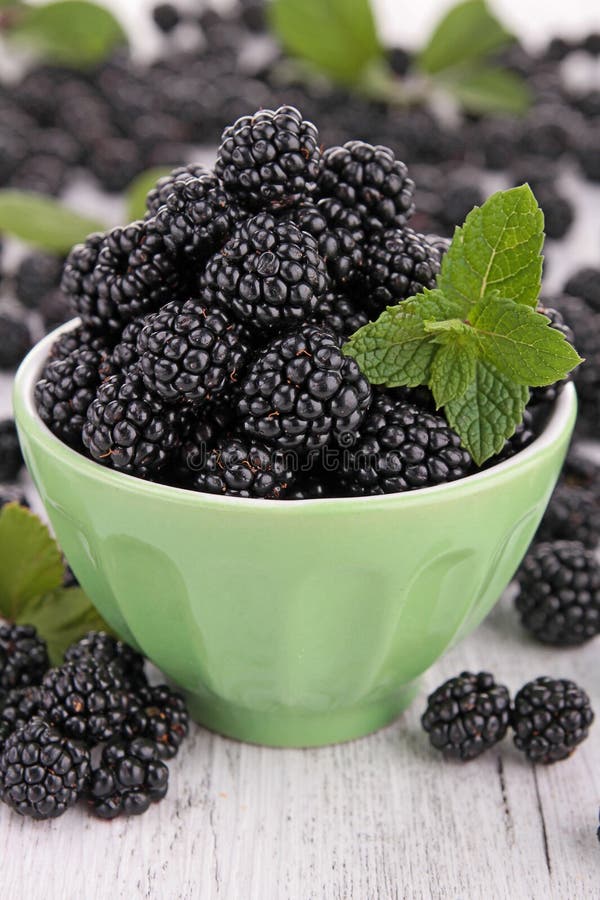 Blackberries stock image. Image of blackberry, studio - 34413973