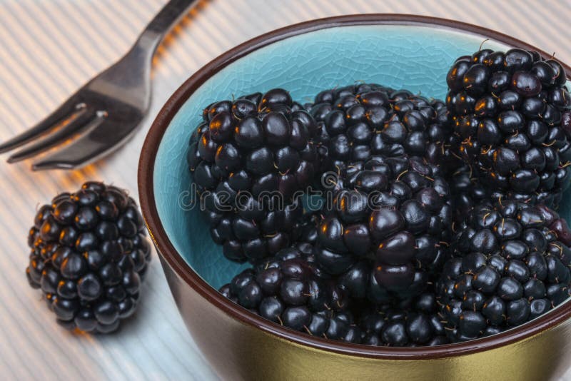 Blackberries stock image. Image of blackberries, drupelets - 39351395