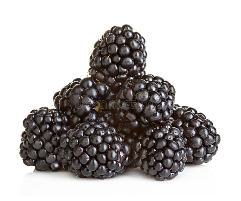 Blackberries Isolated on White Background. Mure Stock Photo - Image of ...