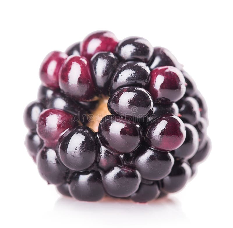 Blackberries stock photo. Image of berries, leaf, green - 50599508