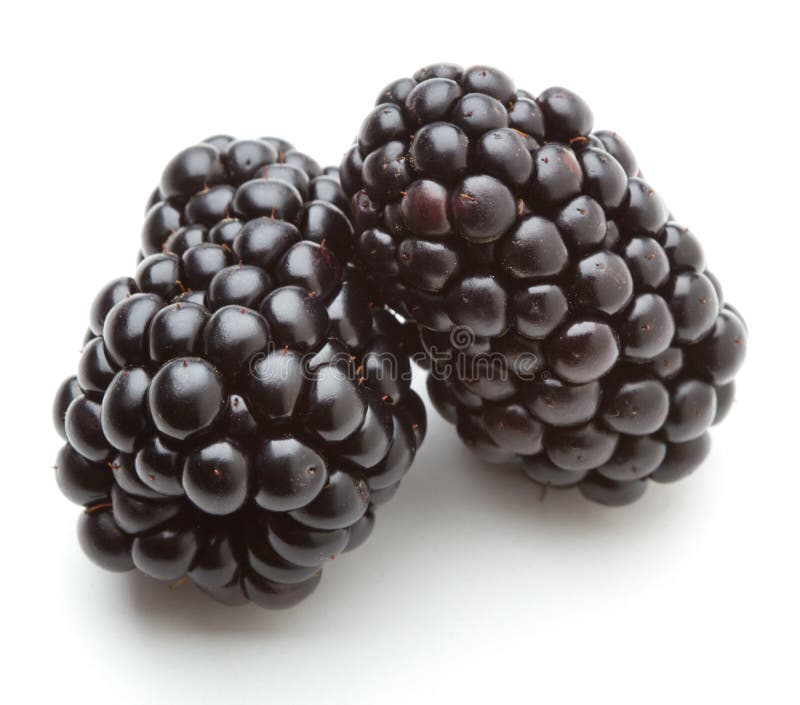 Blackberries stock image. Image of color, small, background - 75974071