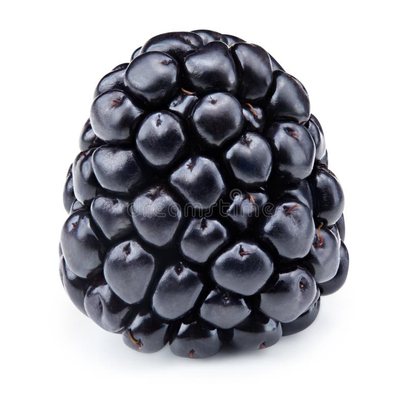 Blackberries Isolated on White Stock Image - Image of shiny, healthy ...