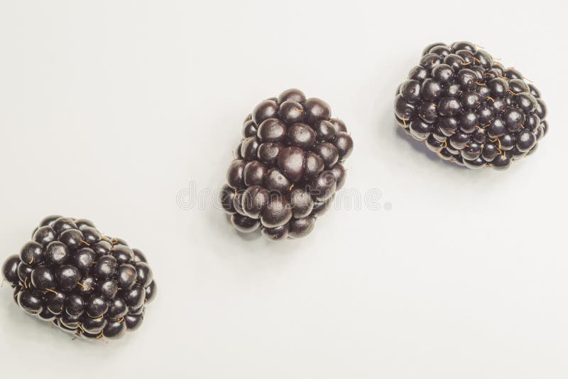 Blackberries Isolated on White Background. Fresh Berries Stock Photo ...