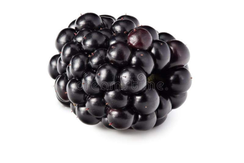 Blackberries Isolated on White Background. Mure Stock Photo - Image of ...