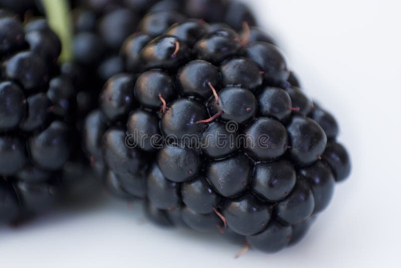 Blackberries with Leaves Close Up Stock Image - Image of black, group ...