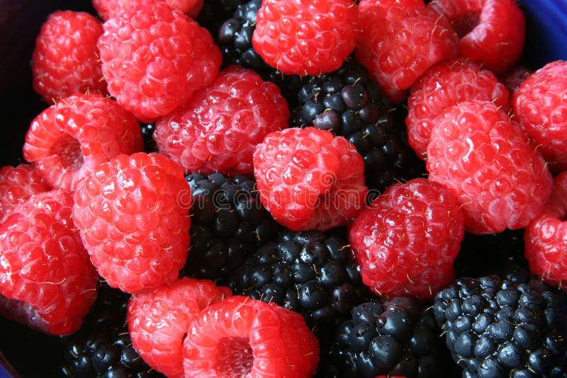 Close Up of Frozen Mixed Fruit Stock Photo - Image of detail ...