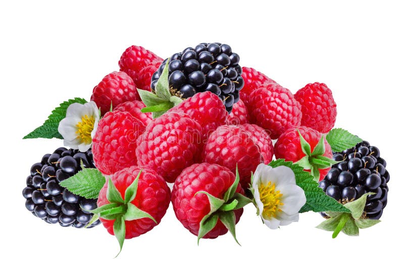 Blackberries ,raspberries ,strawberry and Blueberries, Stock Image ...