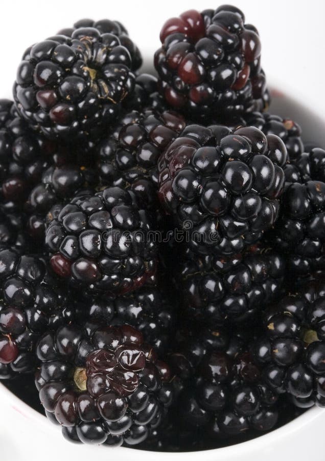 The blackberry stock photo. Image of beauty, food, foodstuffs - 2180866