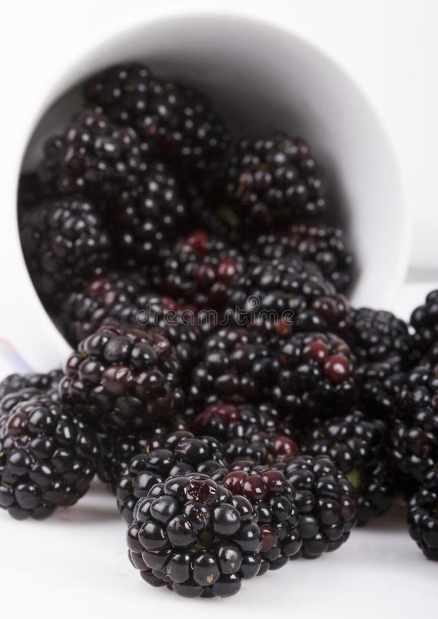 The blackberry stock photo. Image of ingridient, food - 2180992