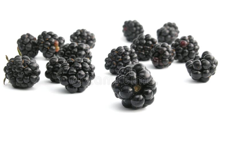 Blackberry stock image. Image of detail, delicious, season - 245943