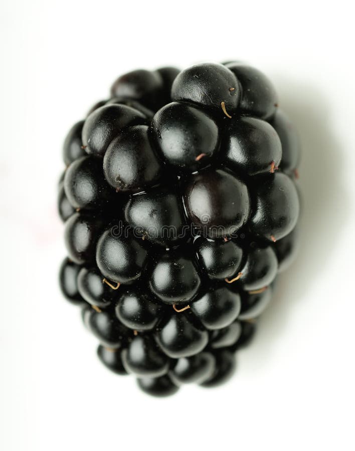 Blackberry stock image. Image of vitality, health, organic - 2845183