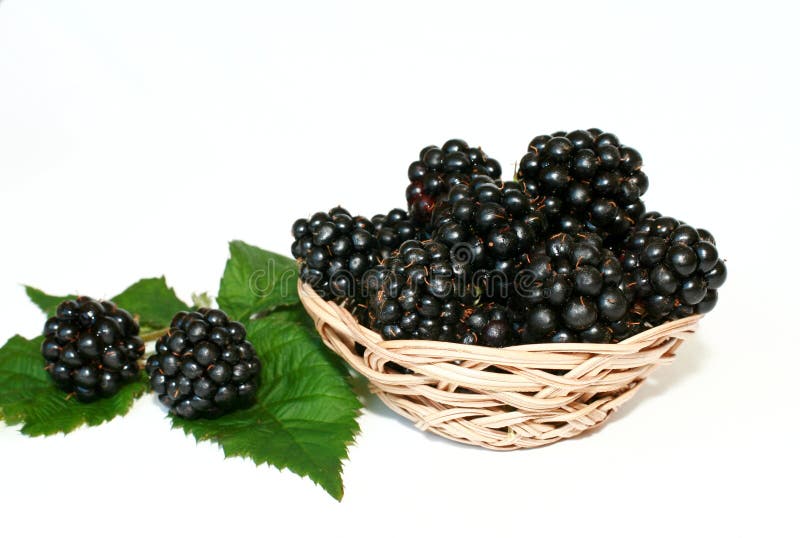 Blackberry stock image. Image of vitamins, blackberry - 3325413