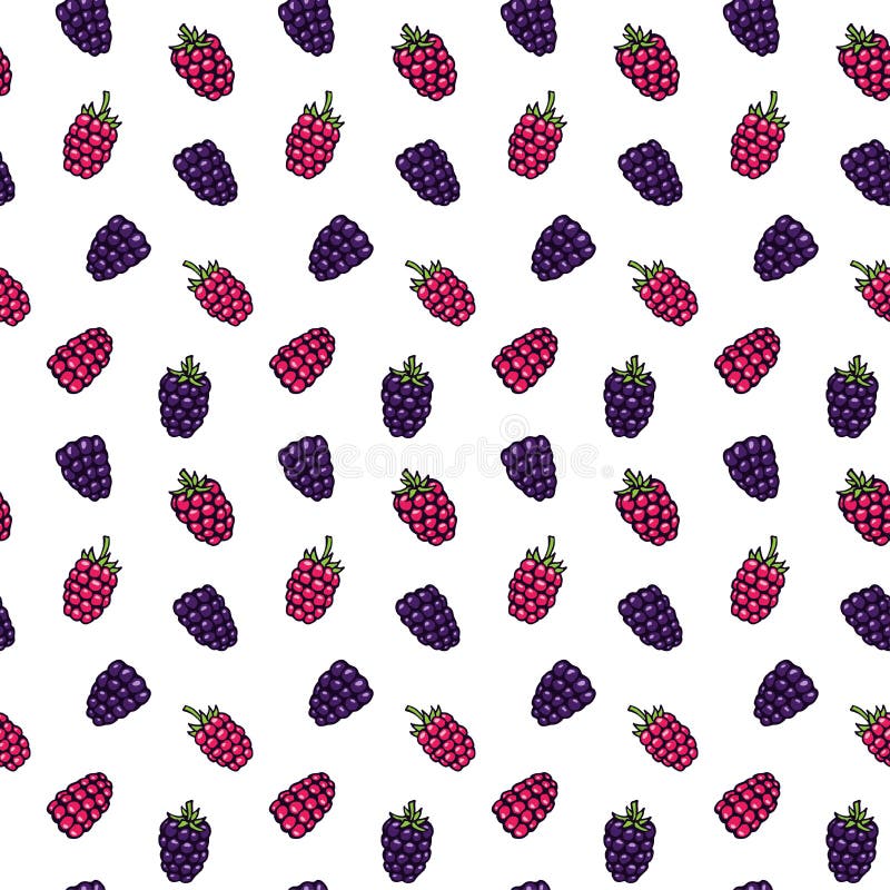 Blackberry, Bramble, Dewberry and Raspberry Hand Drawn Pattern Vector ...