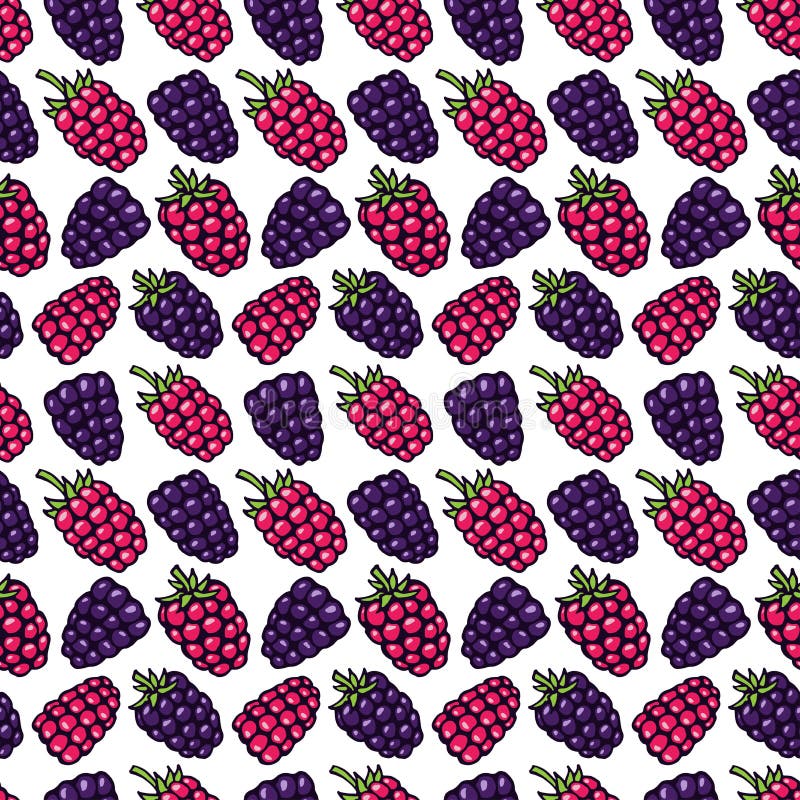 Blackberry, Bramble, Dewberry and Raspberry Hand Drawn Pattern Vector ...