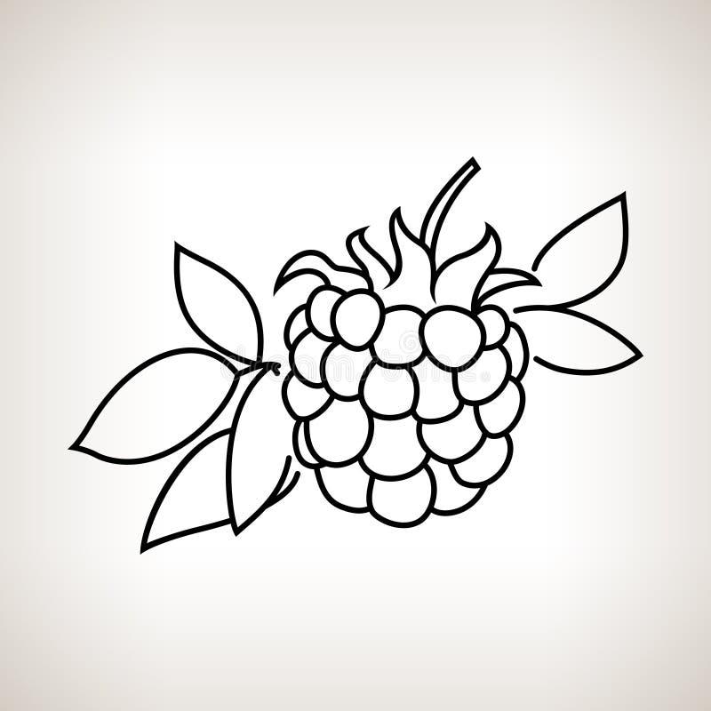 Dewberry Ilustraciones Stock, Vectores, Y Clipart – (723 Ilustraciones ...