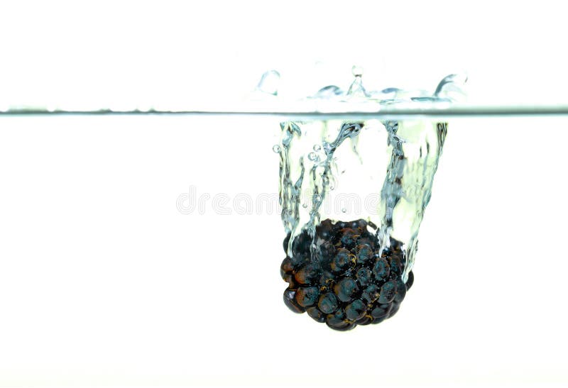 Blackberry Falling into Water with a Splash Stock Image - Image of ...