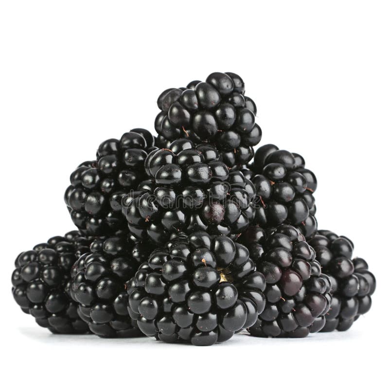 Blackberry-Frucht stockfoto. Bild von beere, frucht, gruppe - 36627274