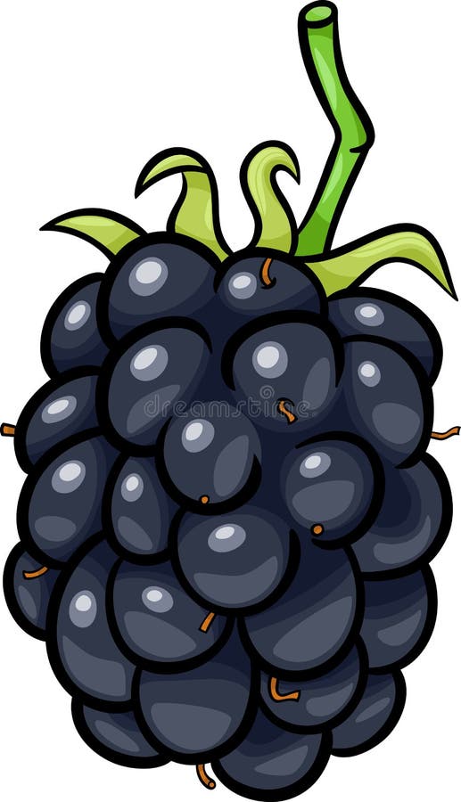 Blackberry Fruit Cartoon Illustration Stock Vector - Illustration of ...