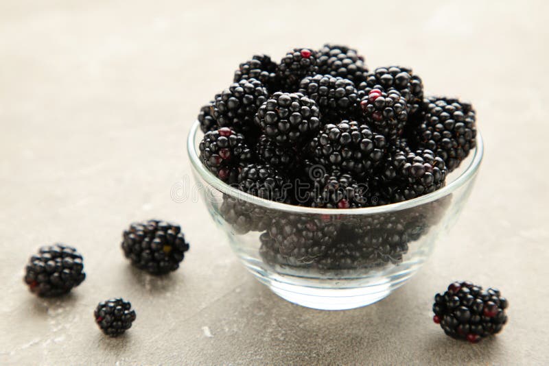 Blackberry Fruit in Glass Bowl on Grey Background Stock Photo - Image ...
