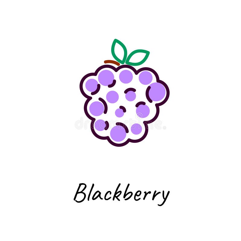 Blackberry Icon Vector Illustration. Outline Colored Style. Stock ...