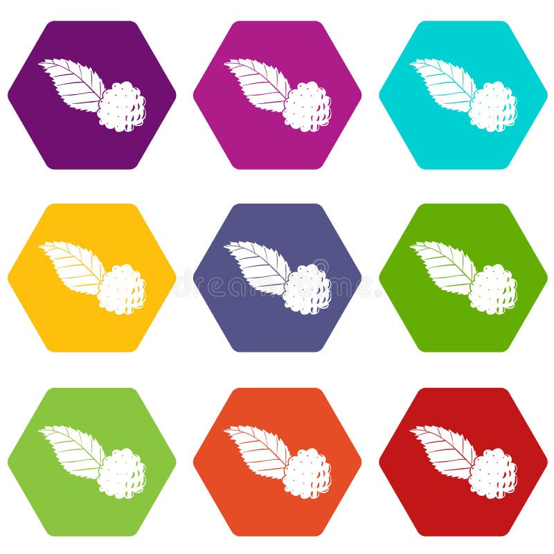 Blackberry Icons Set 9 Vector Stock Vector - Illustration of design ...