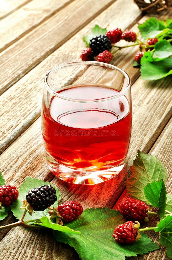 Autumn blackberries stock image. Image of ripen, ripe - 1206703