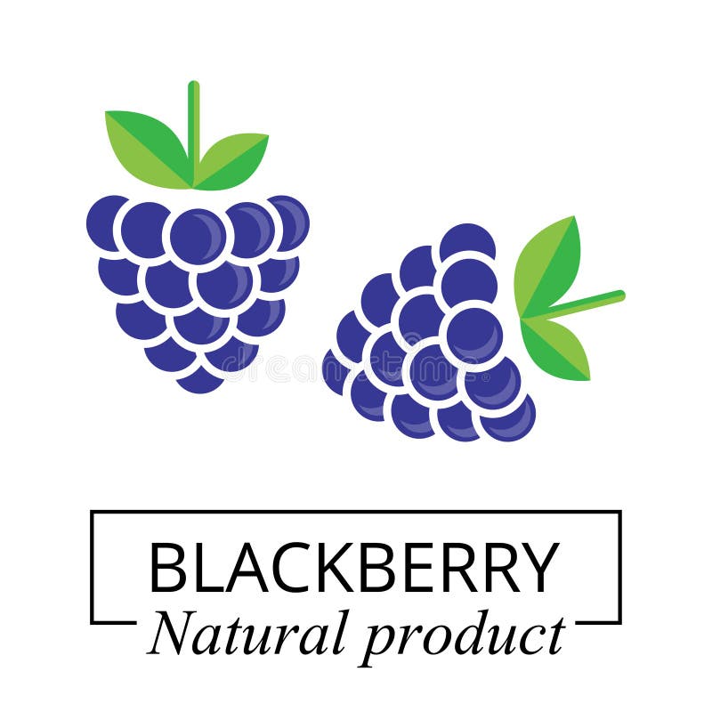 Blackberry Jam Label with Jar Stock Vector - Illustration of blackberry ...